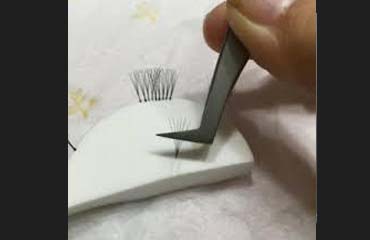 Training Gallery | CEECEES